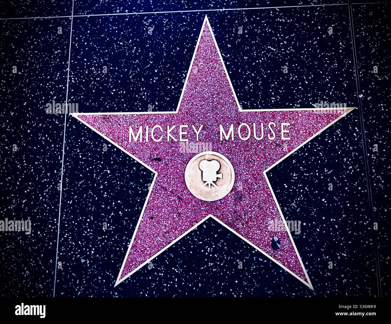 Mickey mouse walk fame star Banque de photographies et d’images à haute ...