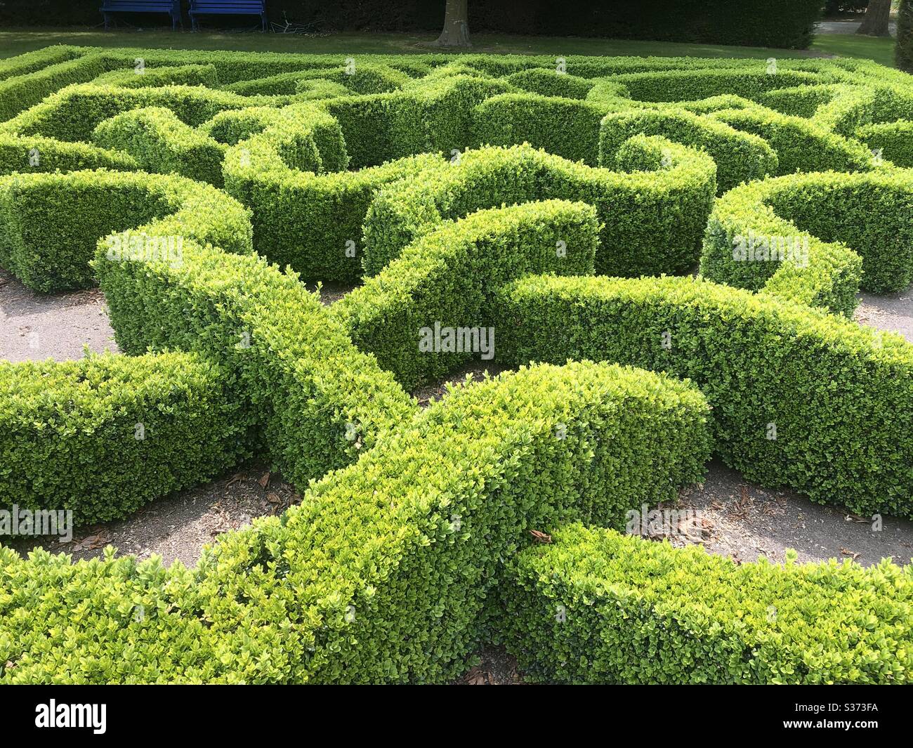 Labyrinthe haie Banque de photographies et d’images à haute résolution ...