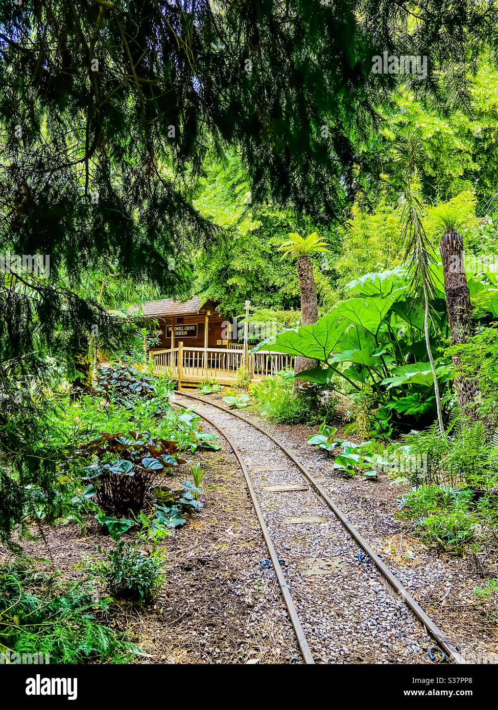 Train perdu Banque de photographies et d’images à haute résolution - Alamy