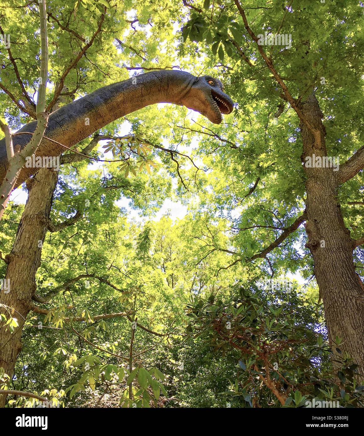 Le dinosaure robotique brontosaurus mange des feuilles de grands arbres ...