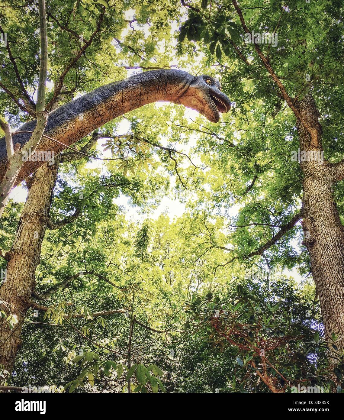 Le dinosaure robotique brontosaurus mange des feuilles de grands arbres ...