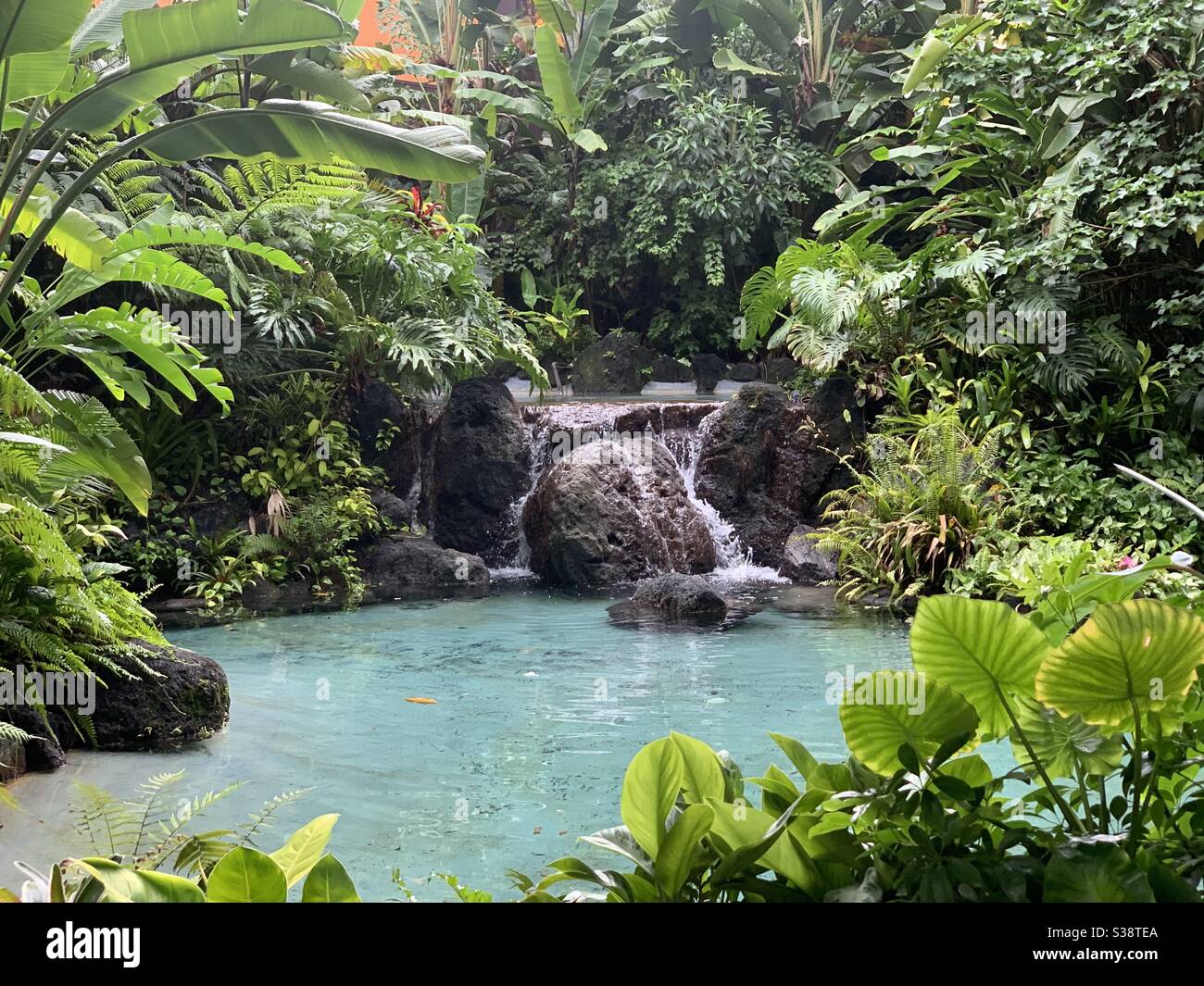 Paradis tropical Banque de photographies et d’images à haute résolution ...