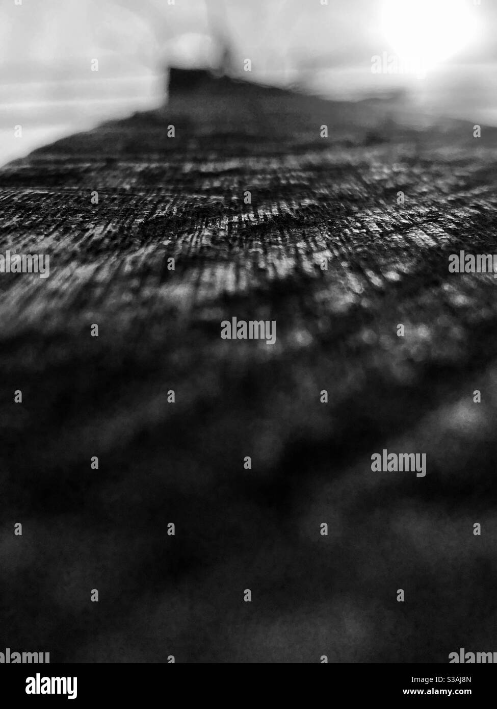 Eusideroxylon zwageri Banque de photographies et d’images à haute ...