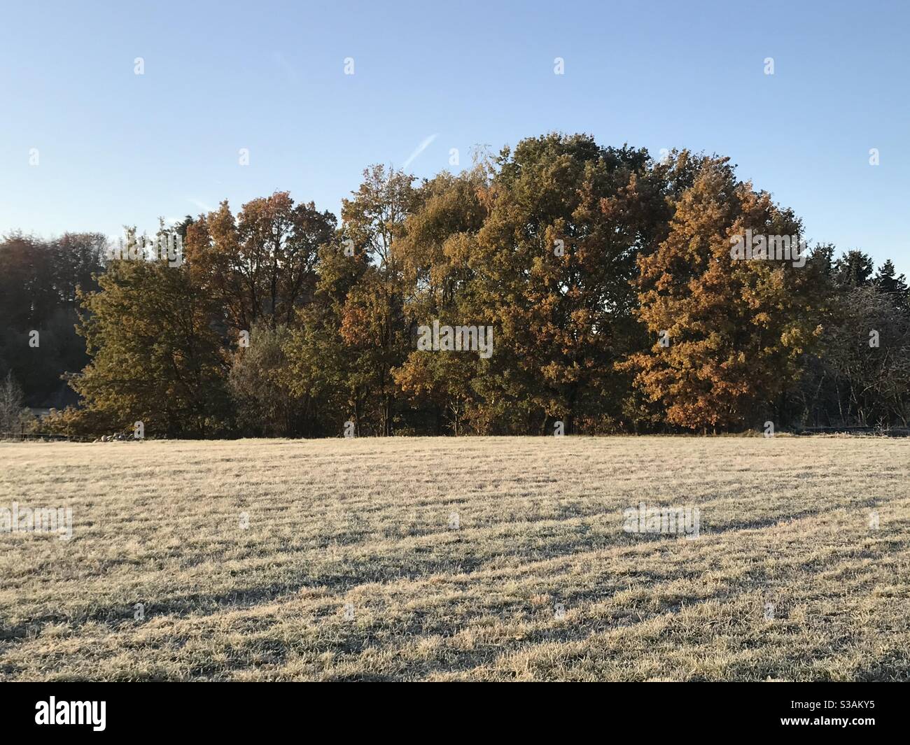 Champ glacé Banque de photographies et d’images à haute résolution - Alamy
