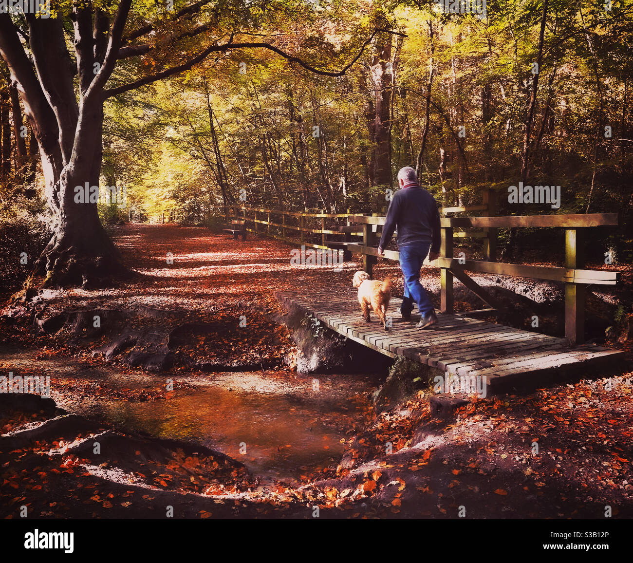 Parc de leurre devon Banque de photographies et d’images à haute ...