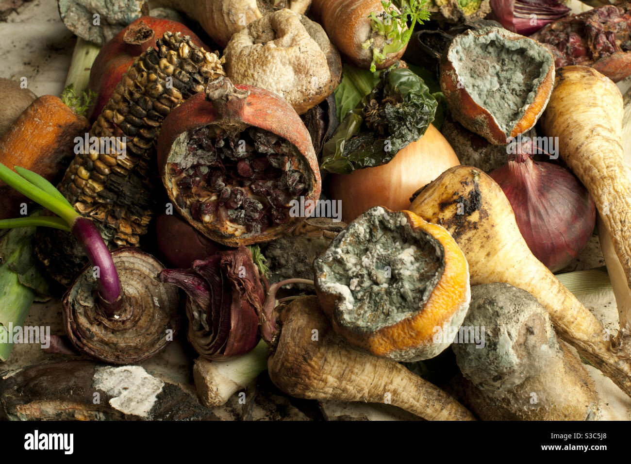 Légumes pourris Banque de photographies et d’images à haute résolution ...