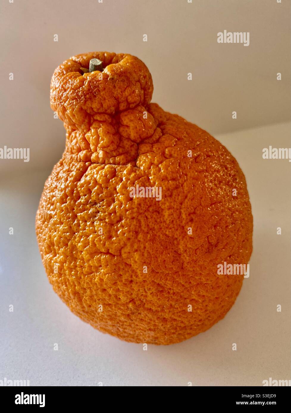 Sumo mandarin Banque de photographies et d’images à haute résolution ...