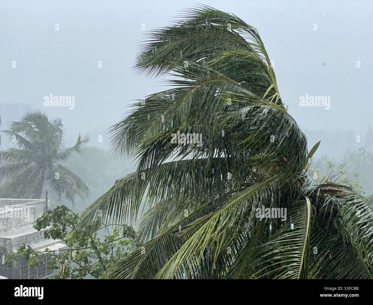 Le cyclone Tauktae qui s'est intensifié en une tempête cyclonique ...