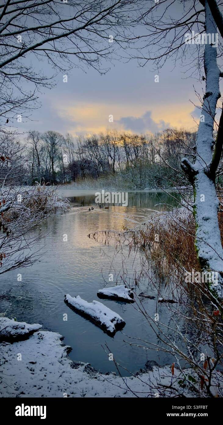 Floating branch Banque de photographies et d’images à haute résolution ...