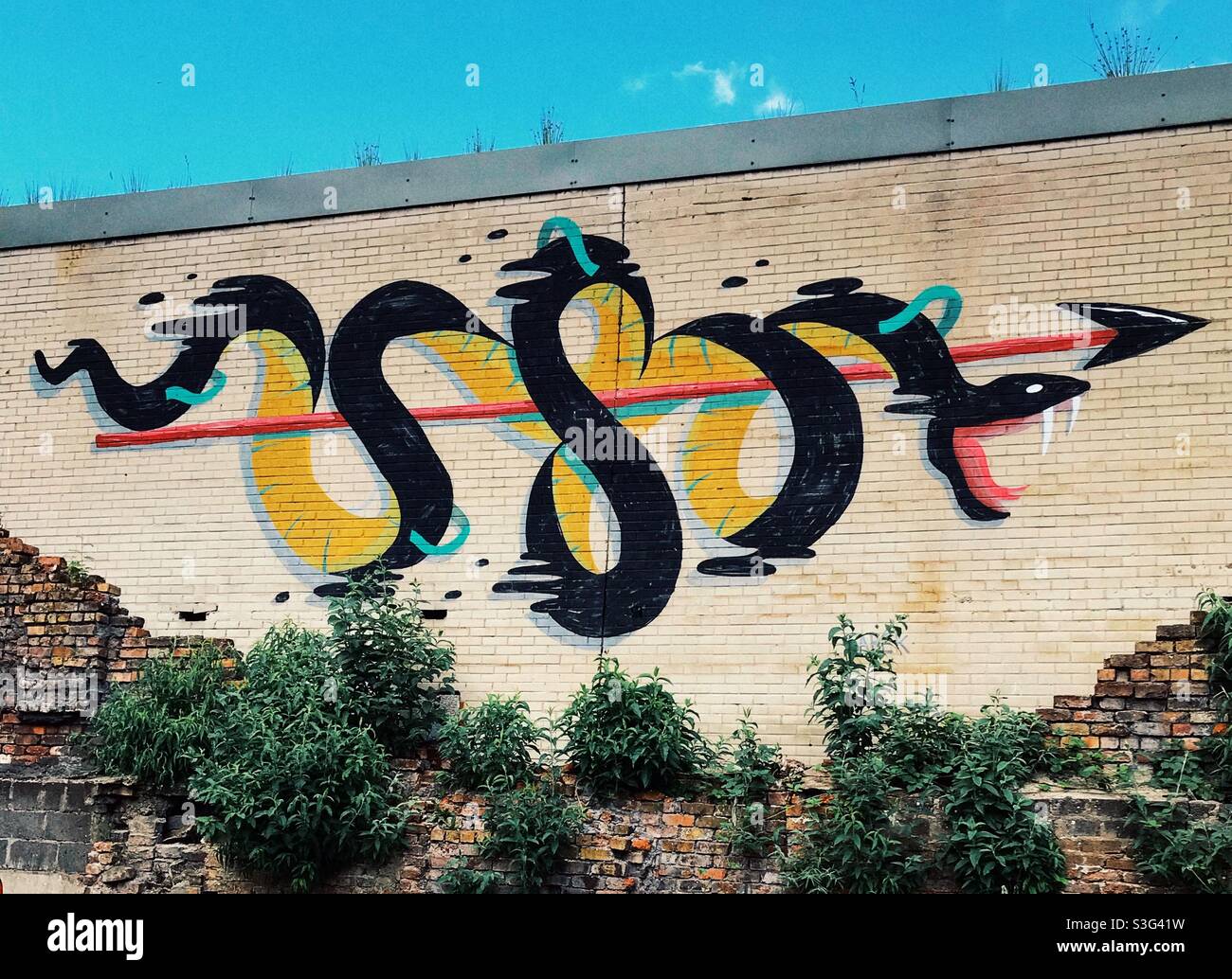 Serpent de fer de lance Banque de photographies et d’images à haute ...