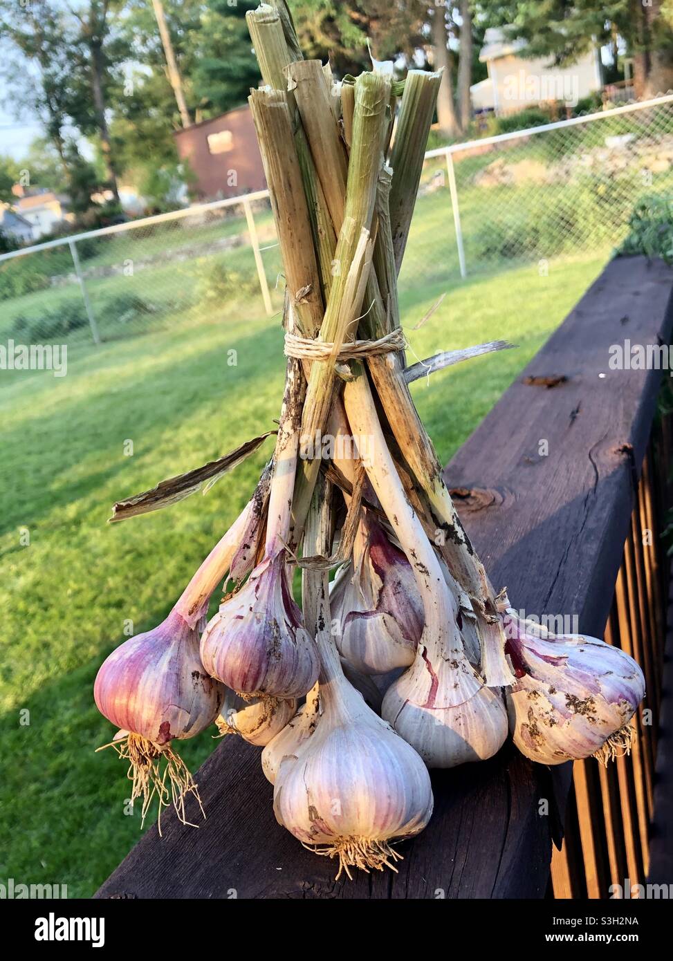 Urbangarden Banque de photographies et d’images à haute résolution - Alamy
