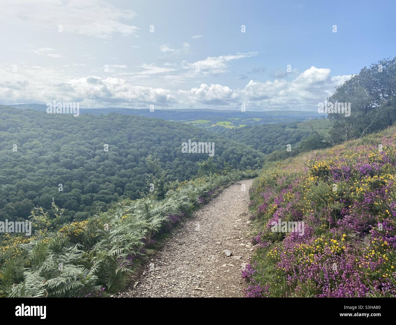Teign valley Banque de photographies et d’images à haute résolution - Alamy