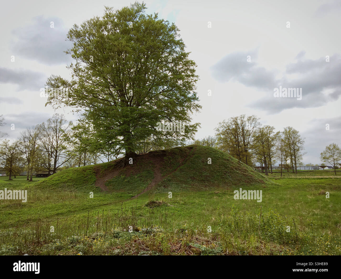 Viking burial mound Banque de photographies et d’images à haute résolution - Alamy