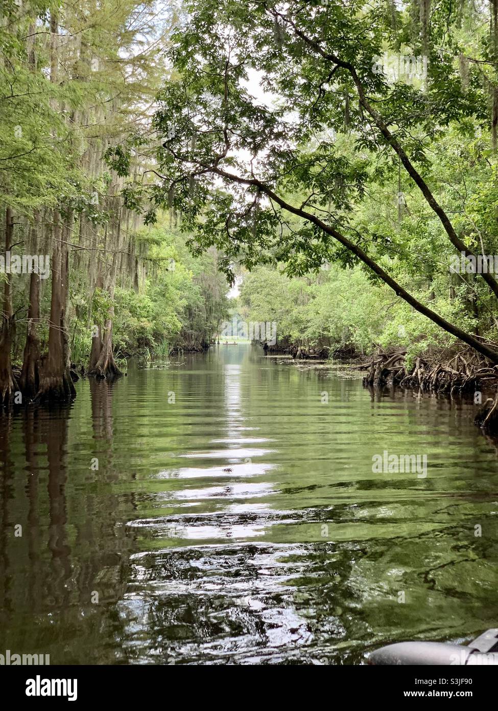 Lac de caddo Banque de photographies et d’images à haute résolution - Alamy