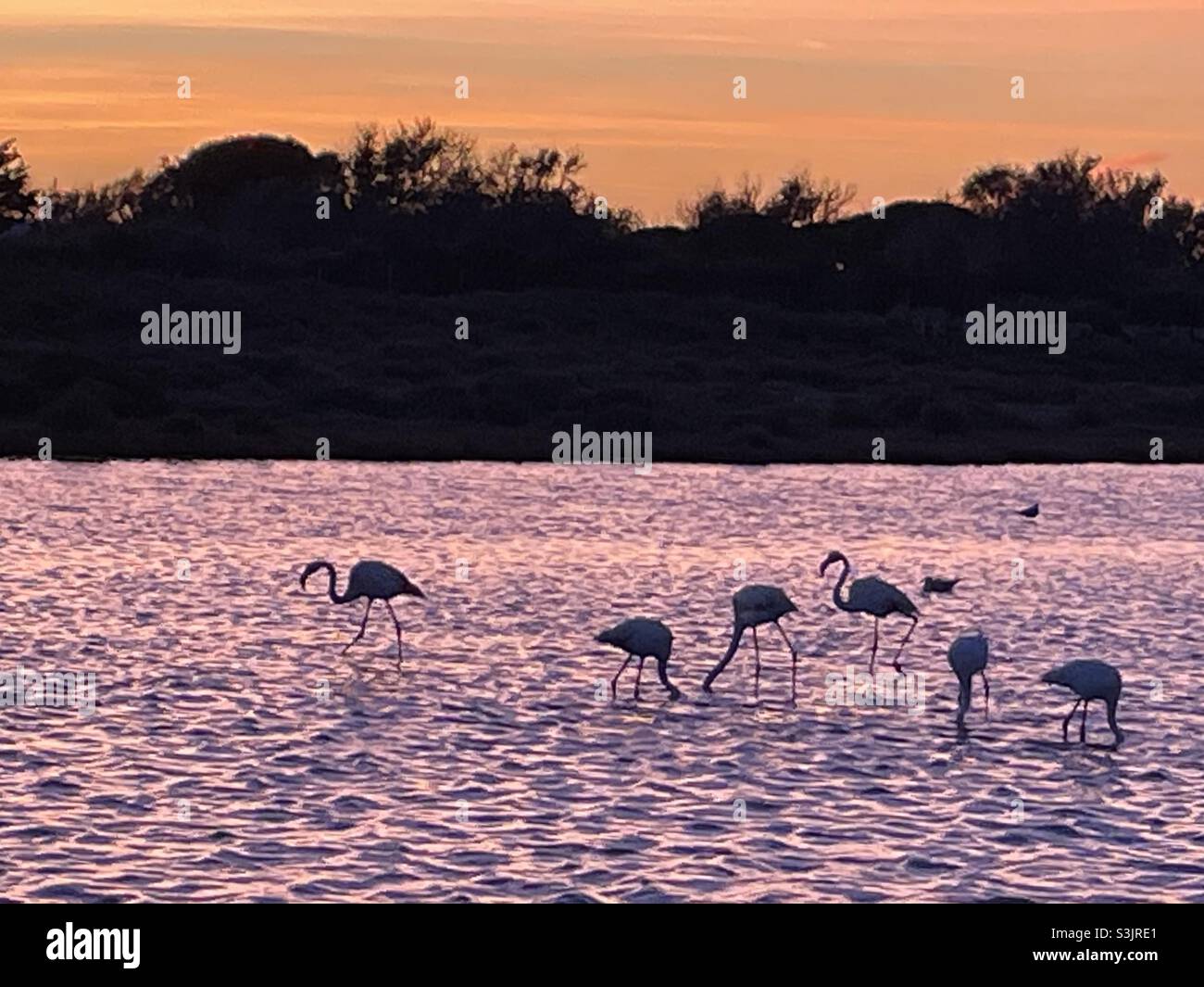 Rhone delta Banque de photographies et d’images à haute résolution - Alamy