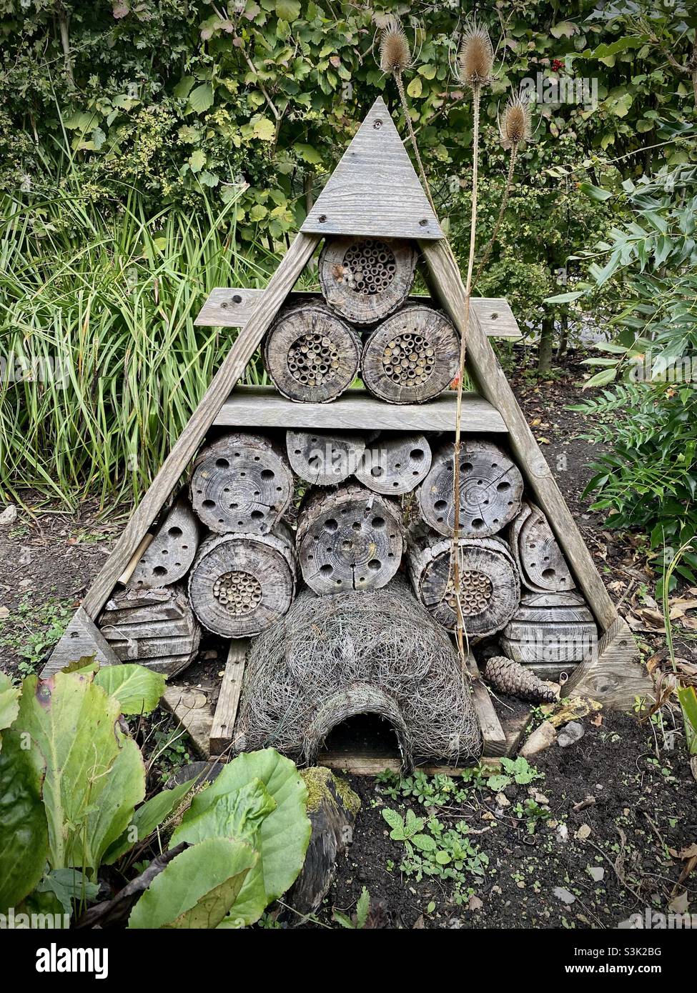 Bug house Banque de photographies et d’images à haute résolution - Alamy