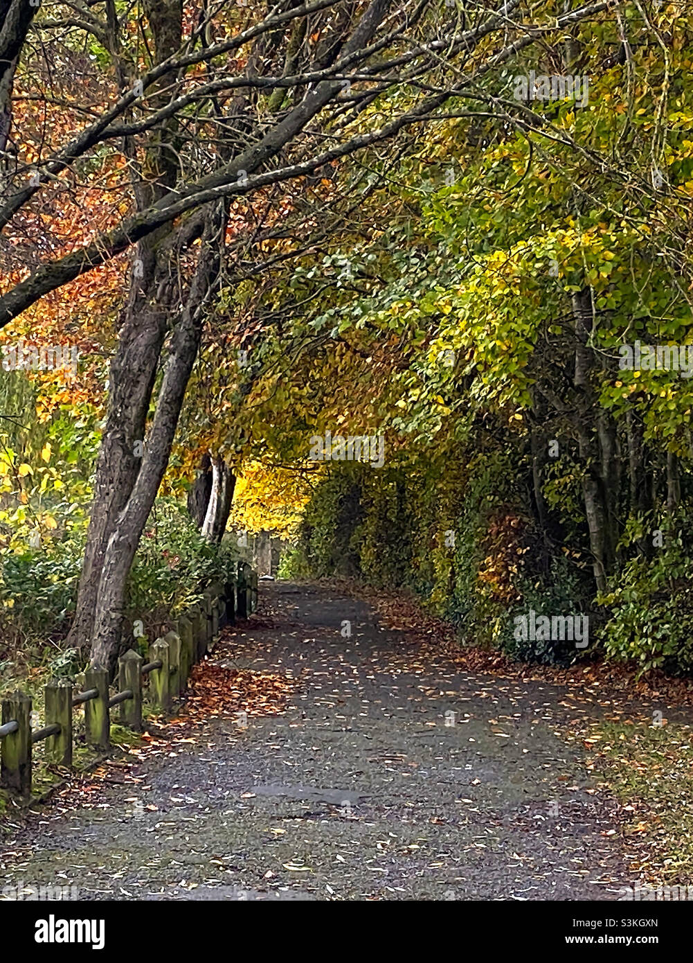 Moses gate Banque de photographies et d’images à haute résolution - Alamy