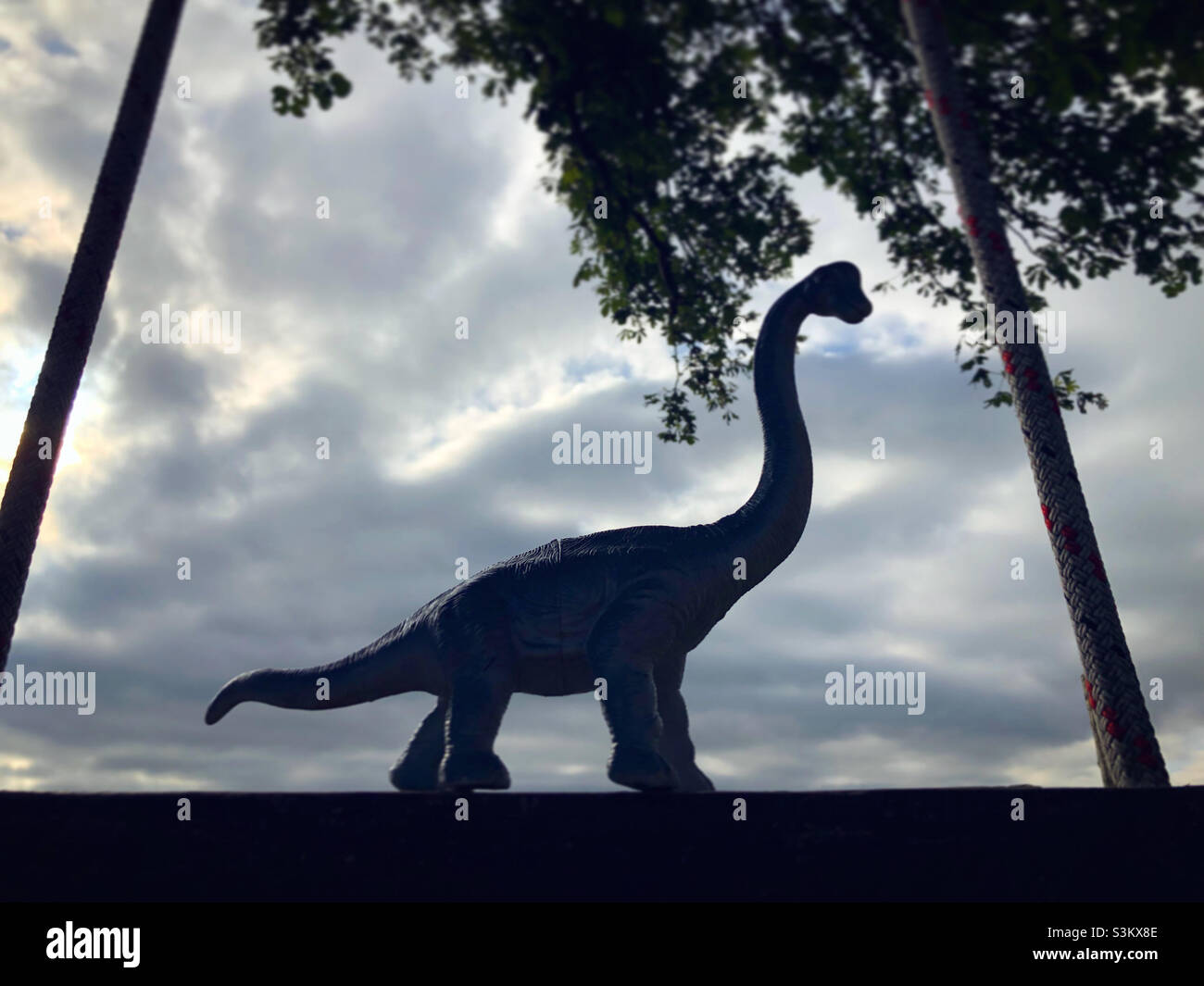 Silhouette de dinosaure diplodocus Banque d'image et photos - Alamy
