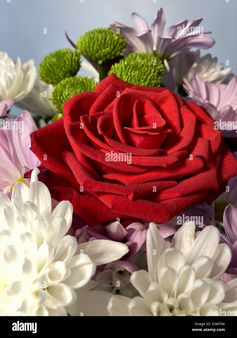 Bouquet de rose rouge Banque de photographies et d’images à haute ...