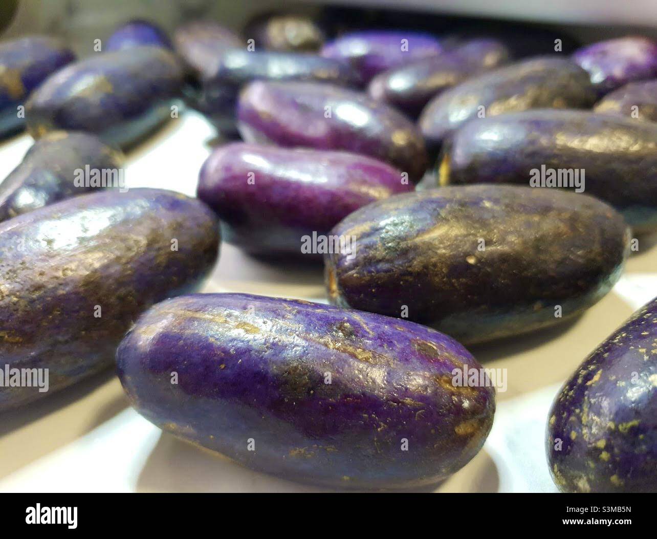 Dacryodes edulis Banque de photographies et d’images à haute résolution ...