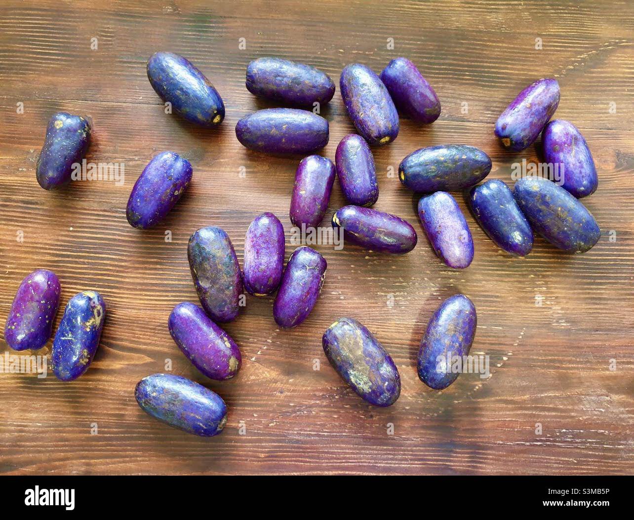 Dacryodes edulis Banque de photographies et d’images à haute résolution ...