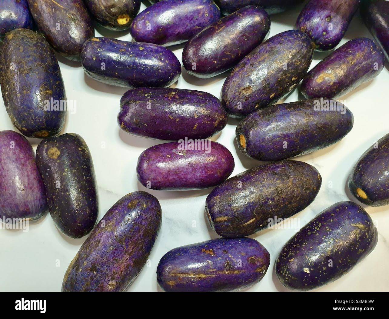 Dacryodes edulis Banque de photographies et d’images à haute résolution ...