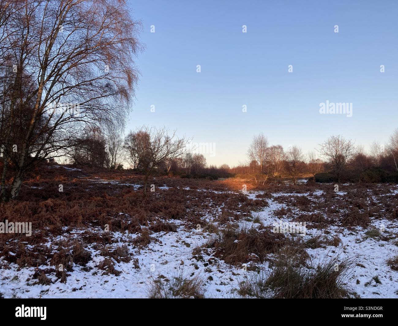 Sutton park Banque de photographies et d’images à haute résolution - Alamy