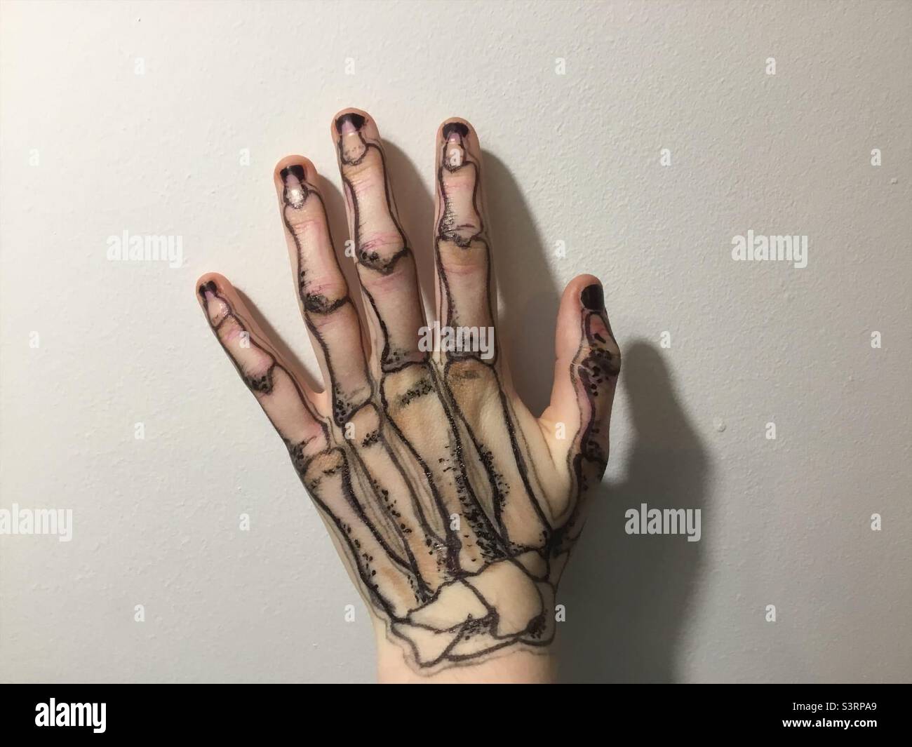 Squelette de la main Banque de photographies et d’images à haute ...