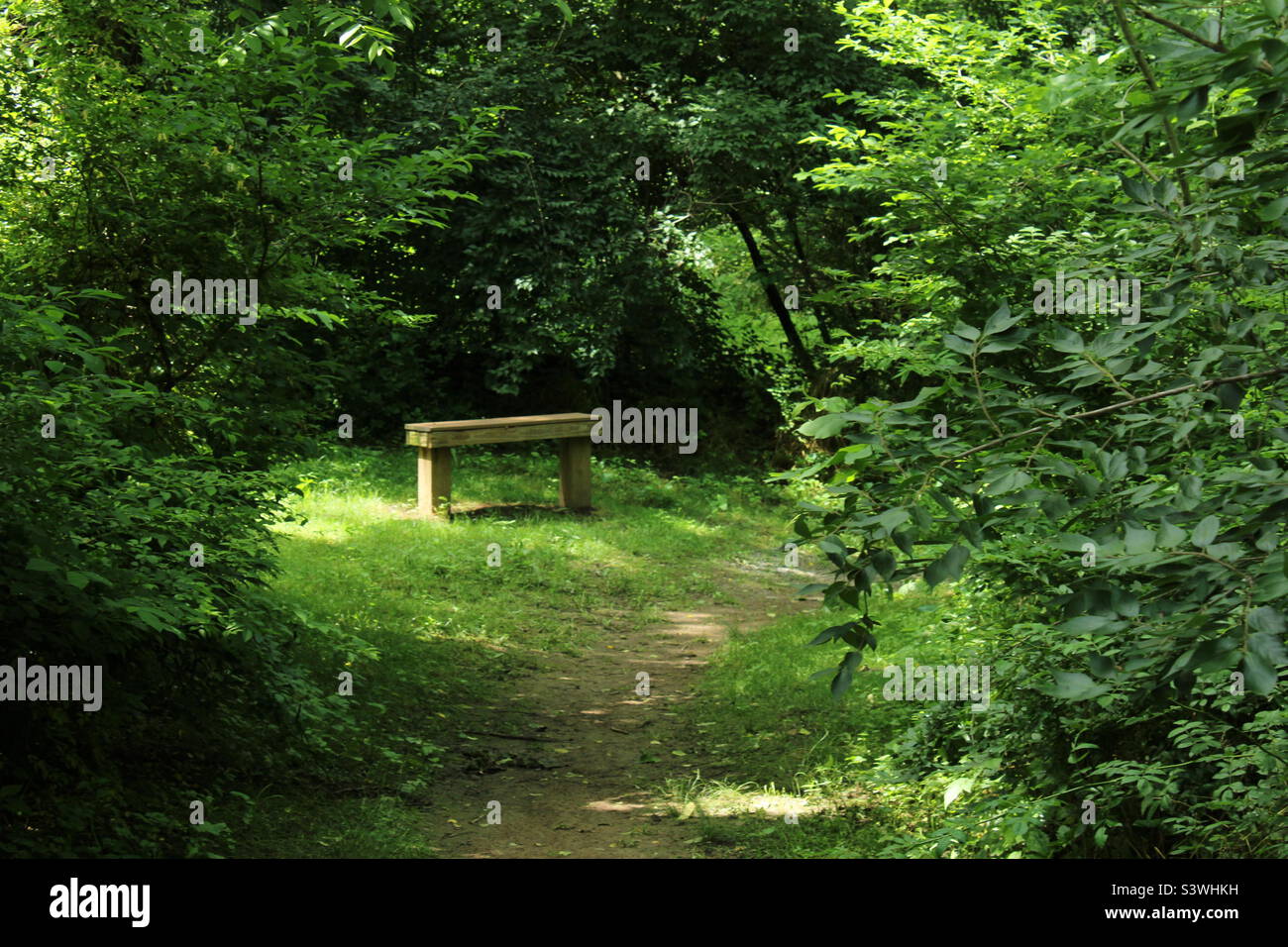 Banc dans la nature Banque de photographies et d’images à haute ...