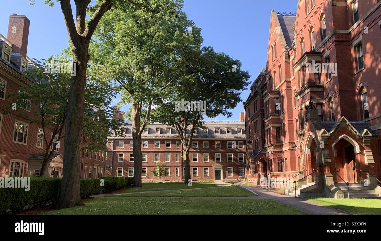 Harvard campus Banque de photographies et d’images à haute résolution ...