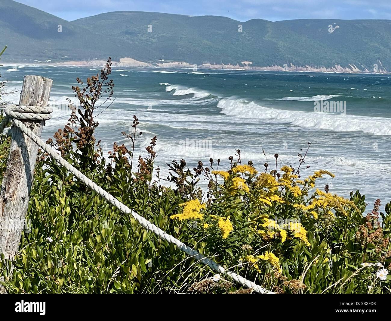 Aspy bay Banque de photographies et d’images à haute résolution - Alamy