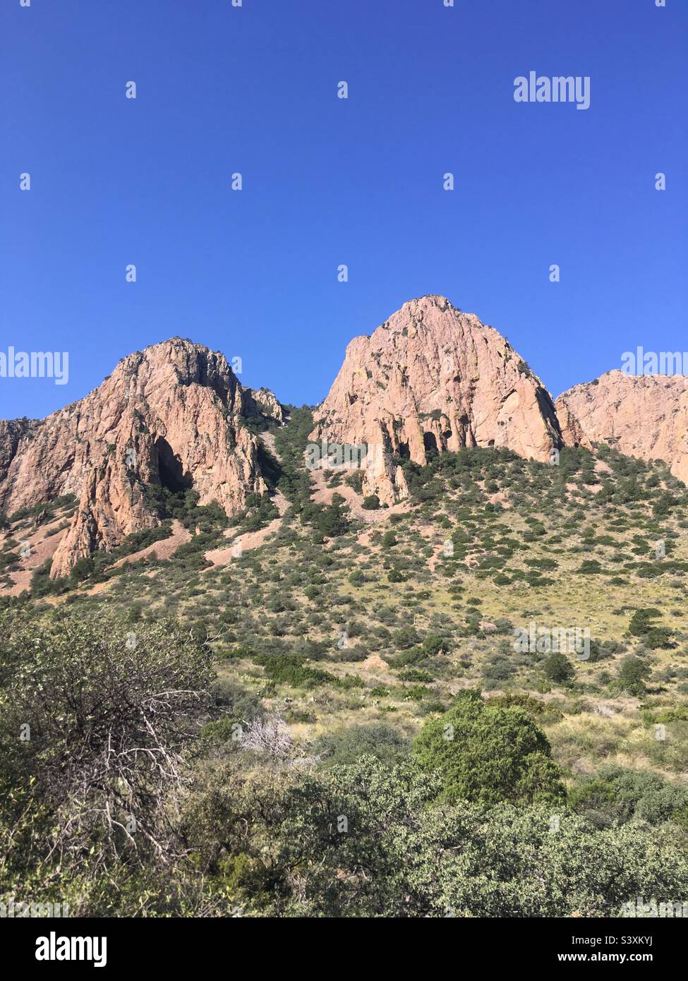 Montagne de chisos Banque de photographies et d’images à haute ...
