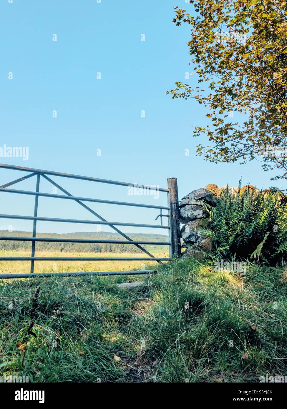 Mur de champ Banque de photographies et d’images à haute résolution - Alamy