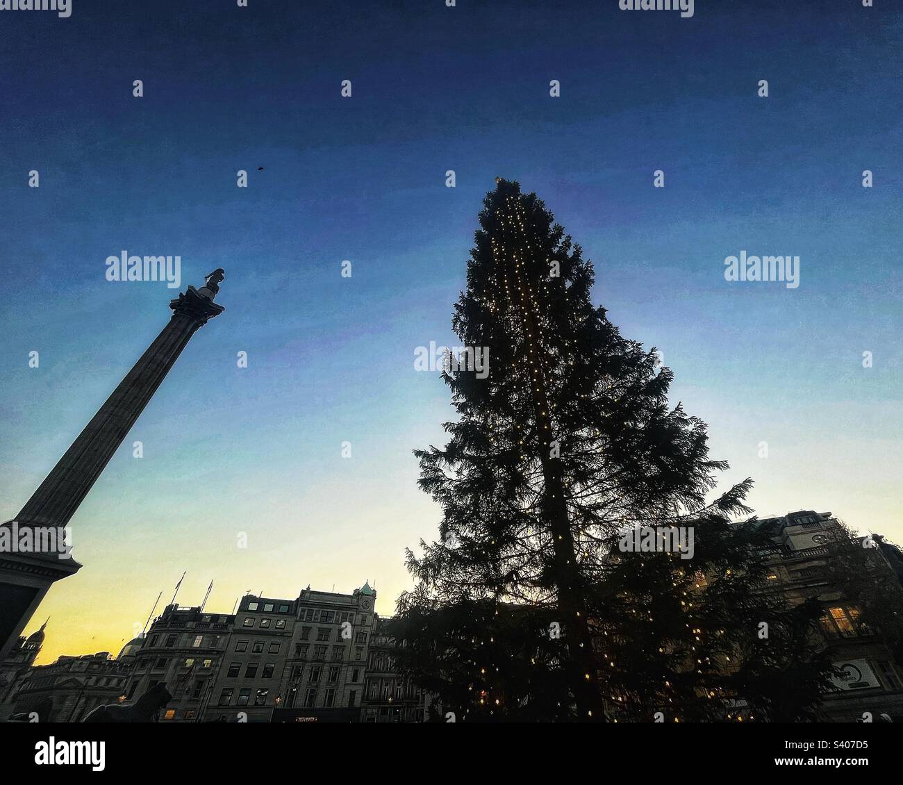 L'arbre est donné par la ville d'Oslo comme un gage de la gratitude ...