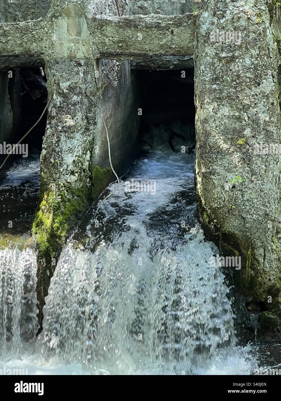 Mousses de cascade Banque de photographies et d’images à haute ...