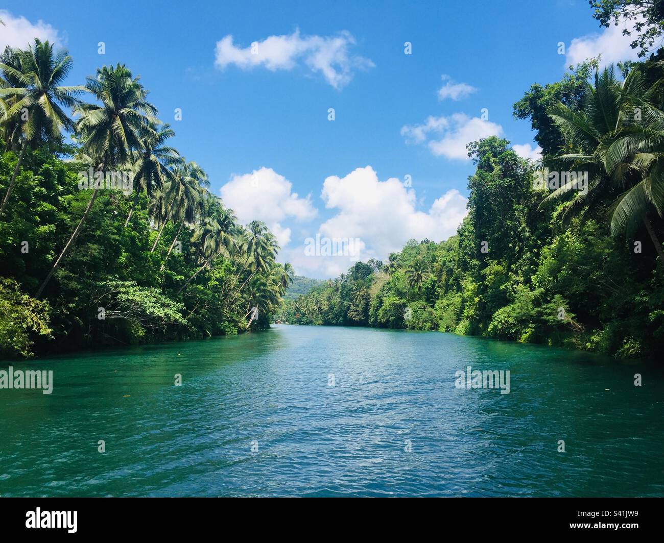 Loboc river Banque de photographies et d’images à haute résolution - Alamy