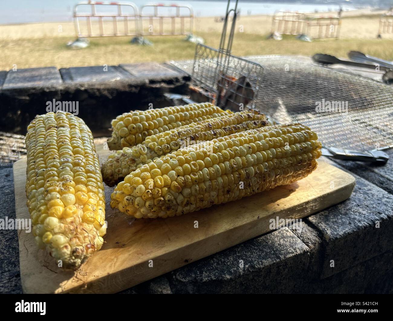 Barbecue on beach Banque de photographies et d’images à haute ...