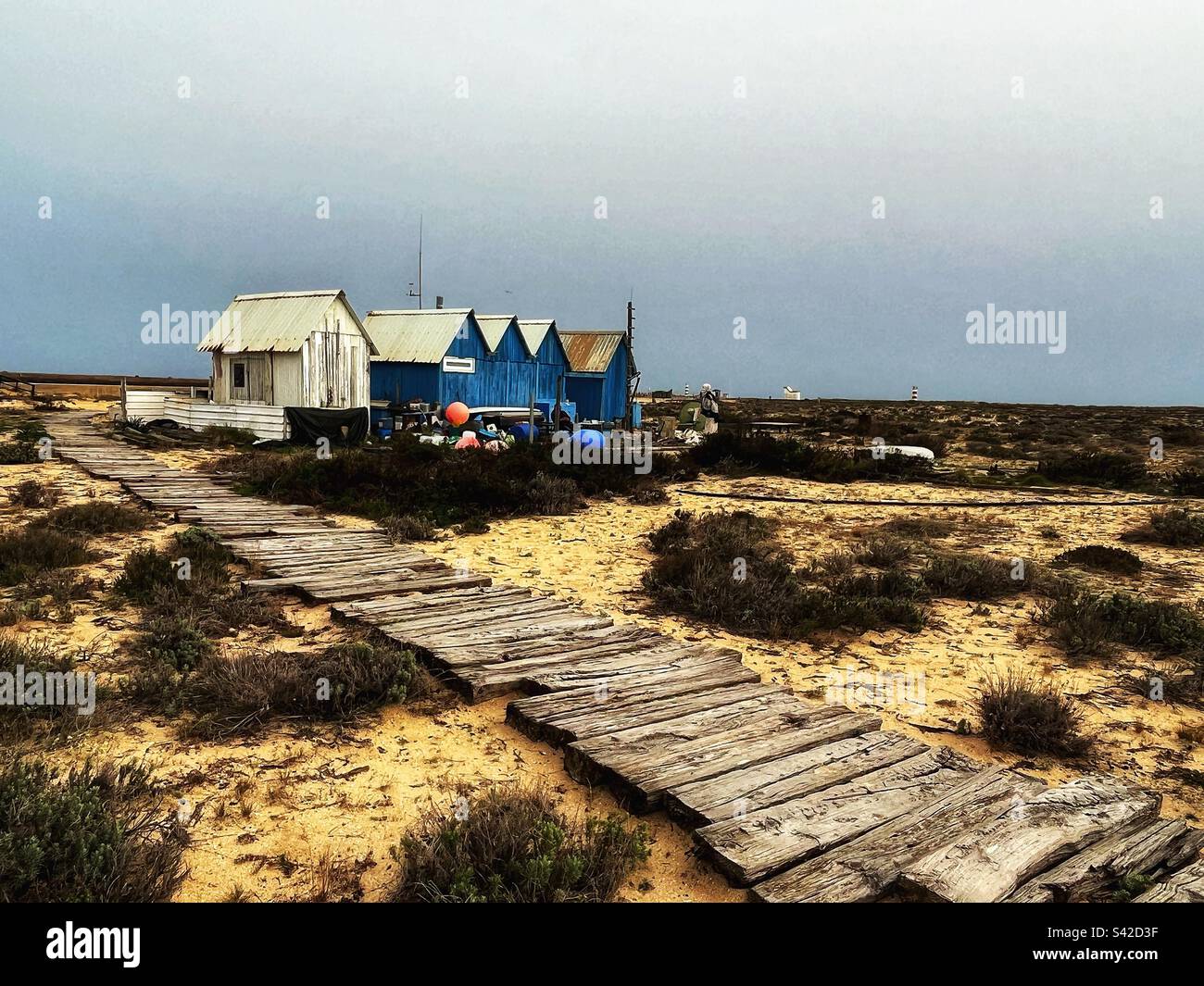 Ria formosa national park Banque de photographies et d’images à haute ...