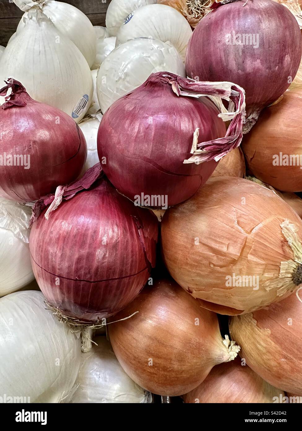 Onion varieties Banque de photographies et d’images à haute résolution ...