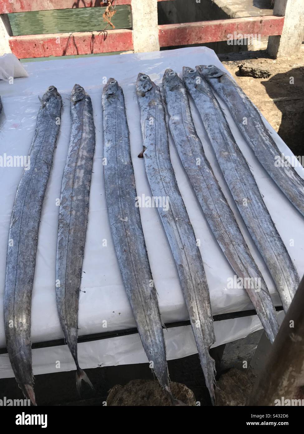 Souk aux poissons Banque de photographies et d’images à haute ...