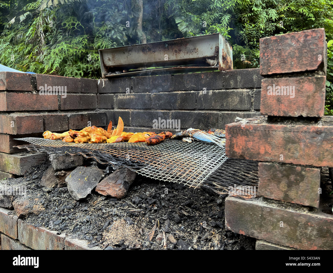 Barbecue au poulet et au poisson à Air Terjun Tasik Puteri, Bukit Besi ...