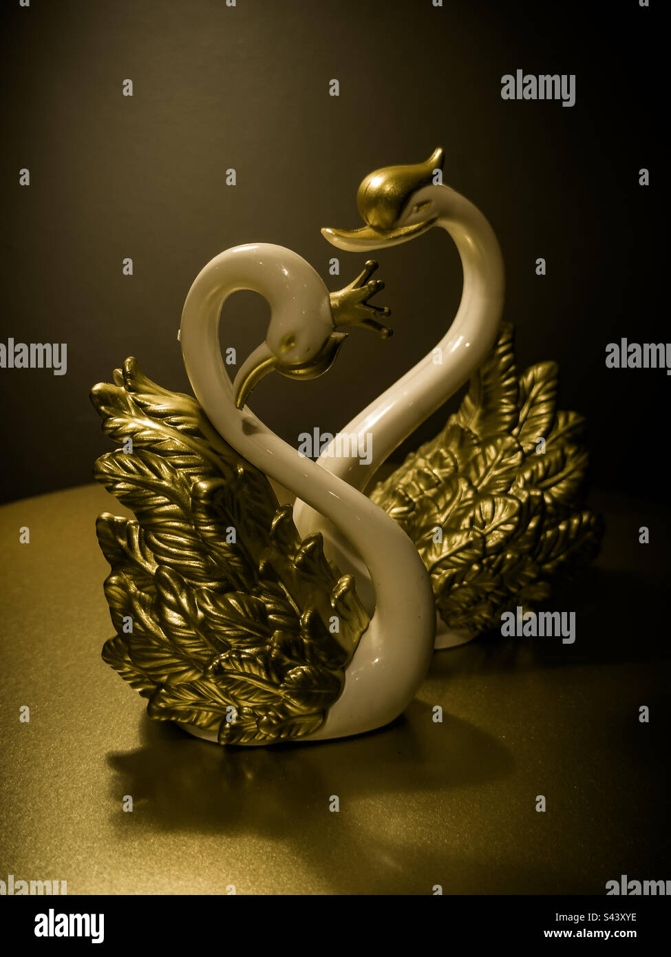 Cygnes en forme de coeur Banque de photographies et d’images à haute résolution - Alamy