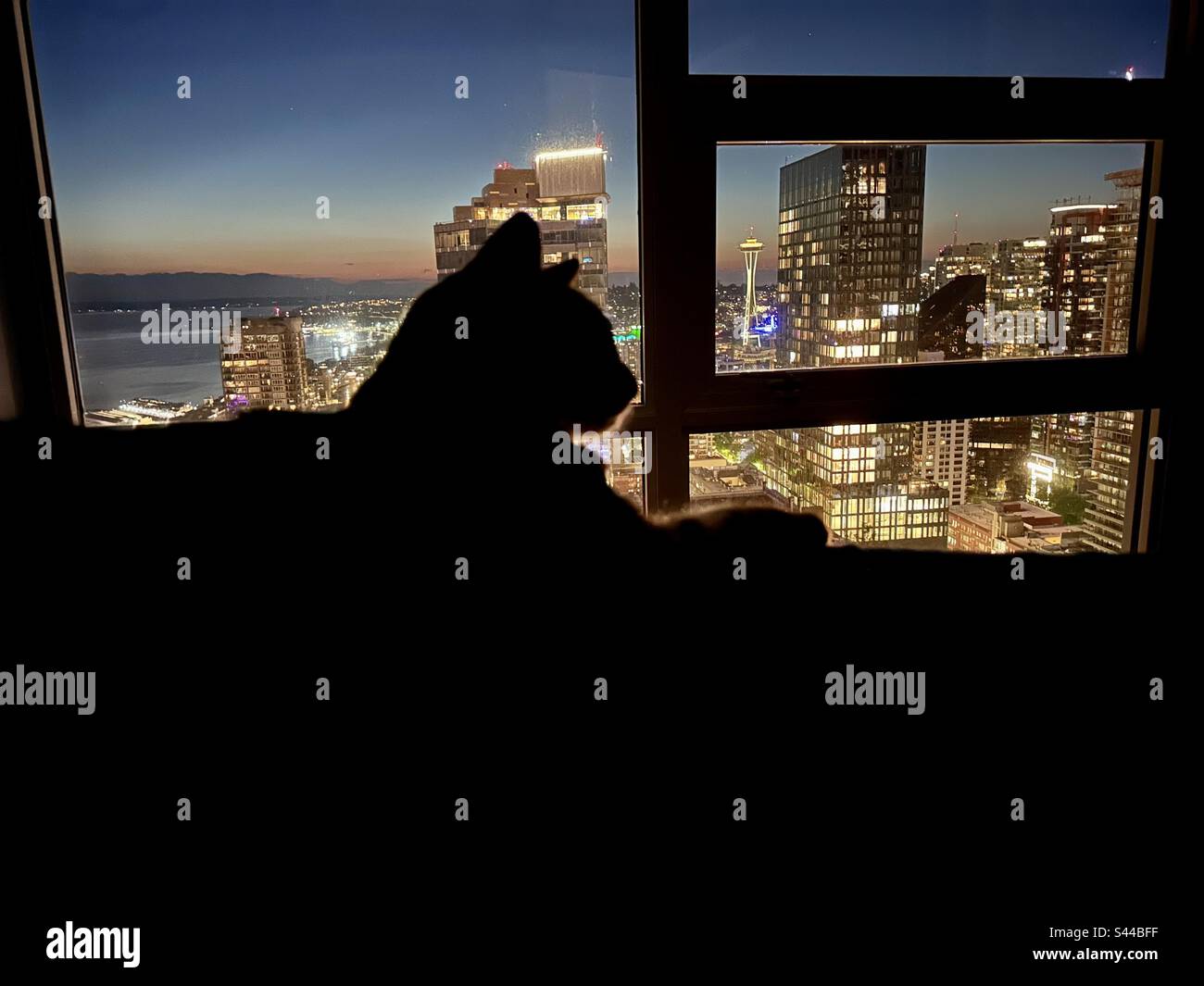 Seattle skyline silhouette Banque de photographies et d’images à haute ...