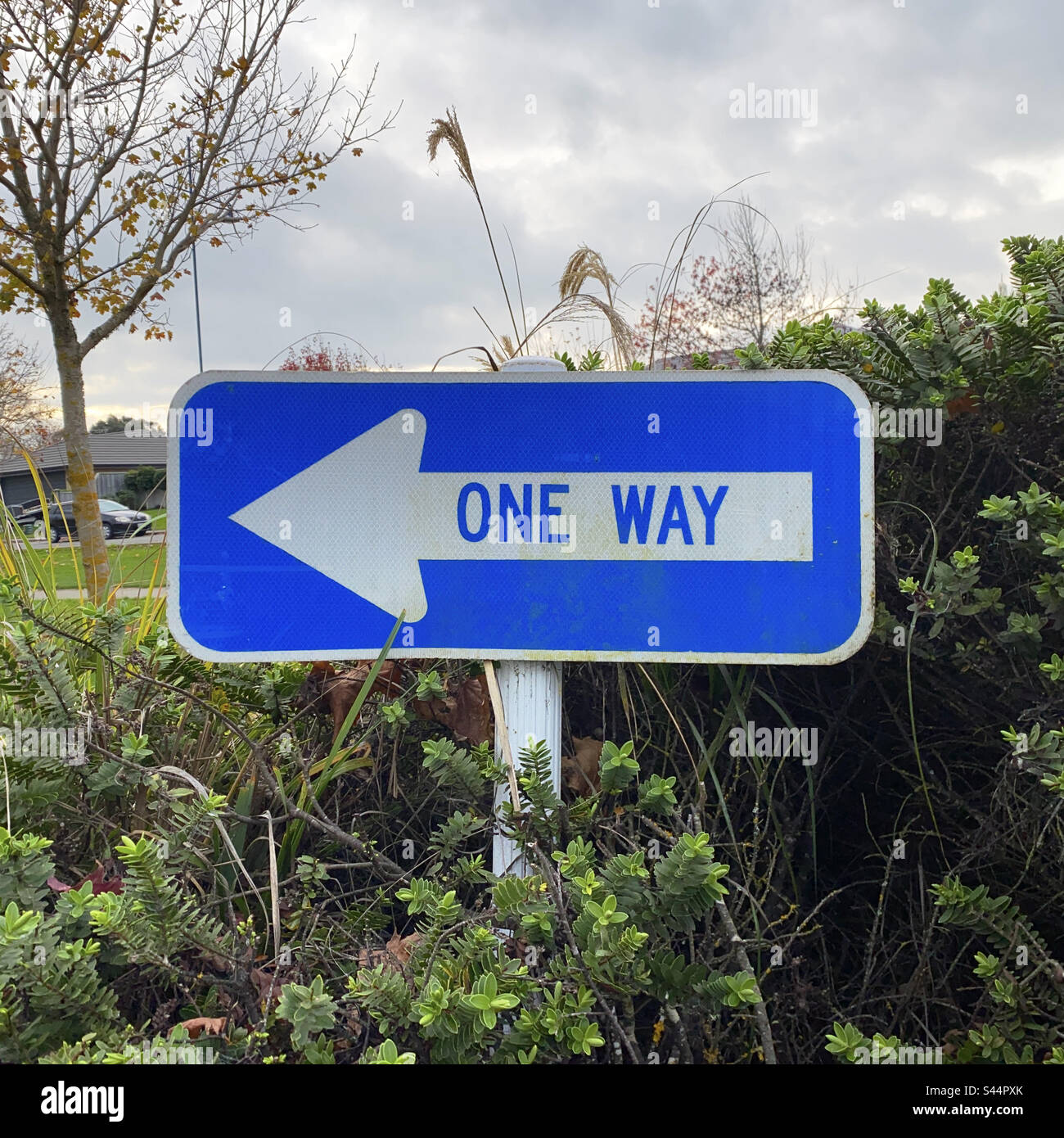 One way road Banque de photographies et d’images à haute résolution - Alamy