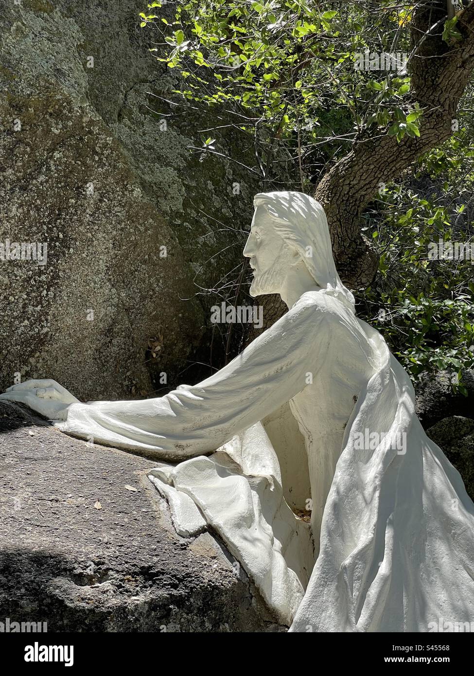 Statue of jesus praying Banque de photographies et d’images à haute ...