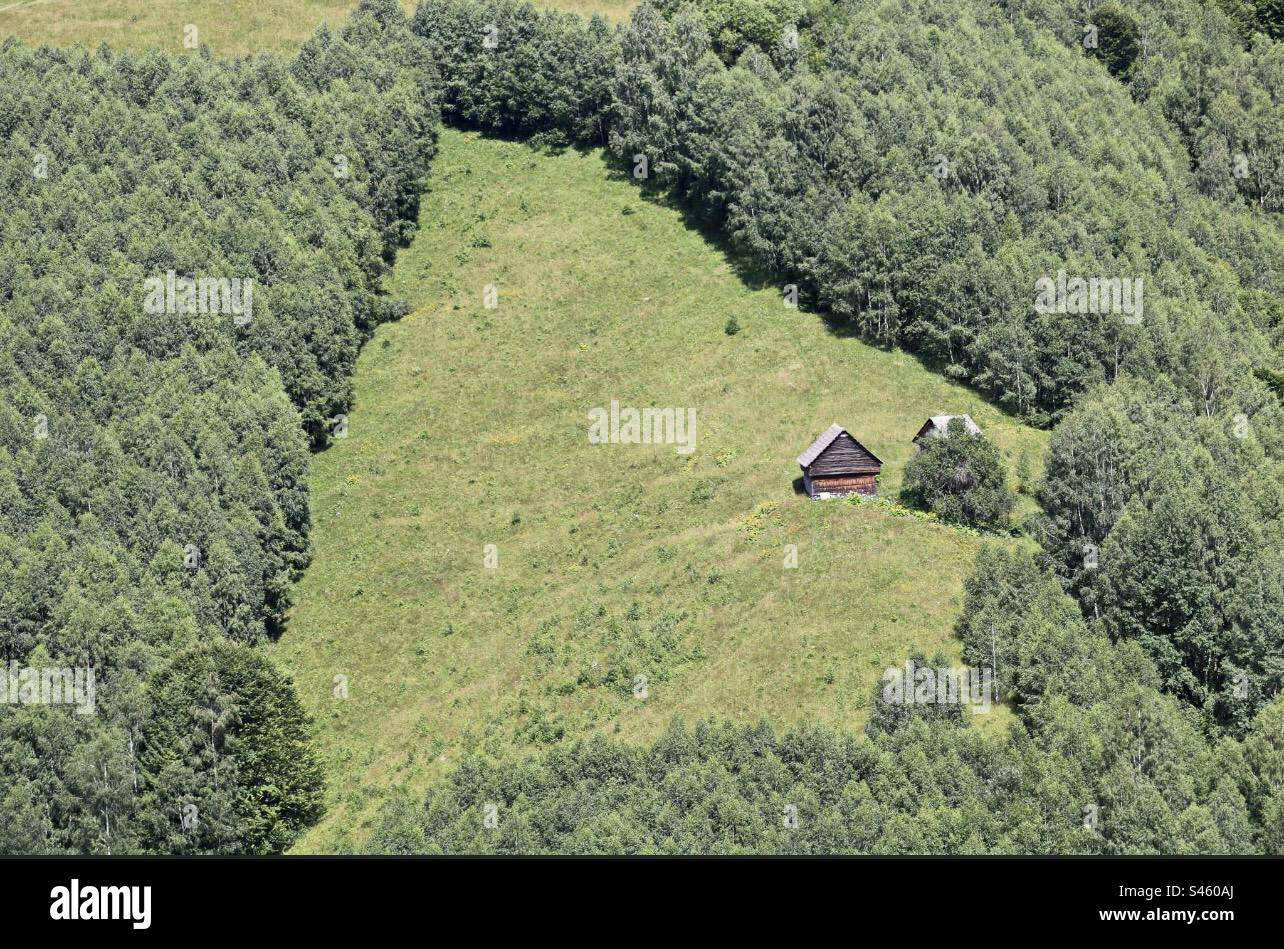Meadow surrounded by forest Banque de photographies et d’images à haute ...