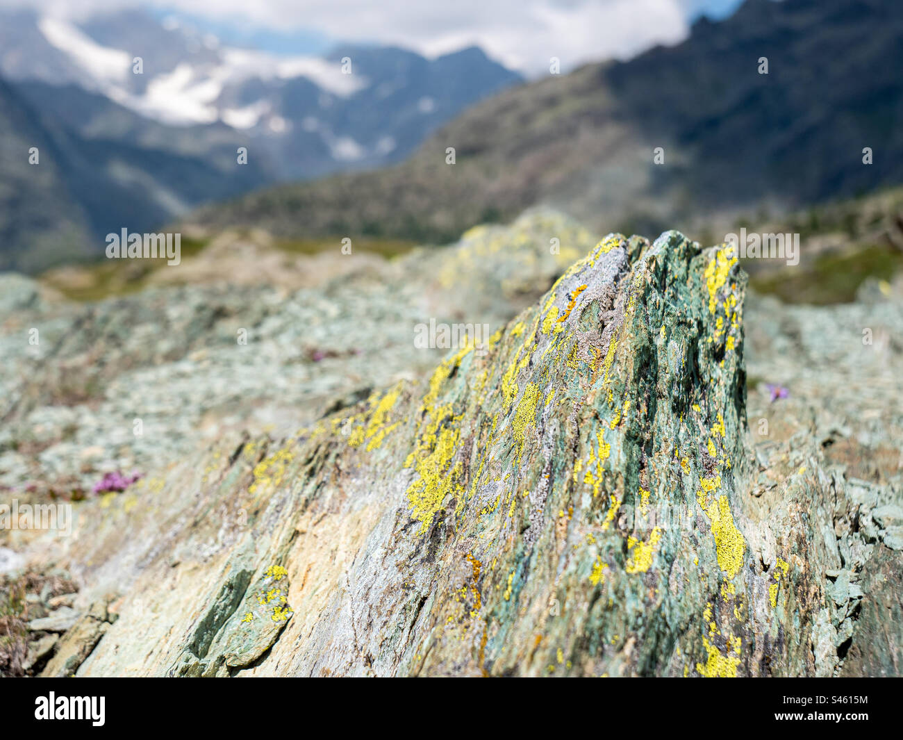 Pierre serpentine Banque de photographies et d’images à haute ...