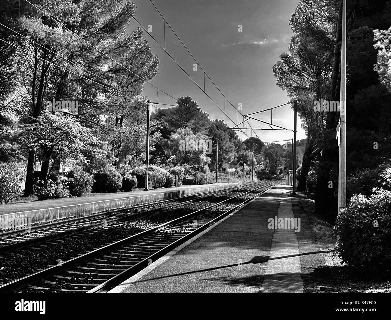 Ile dor Banque d'images noir et blanc - Alamy