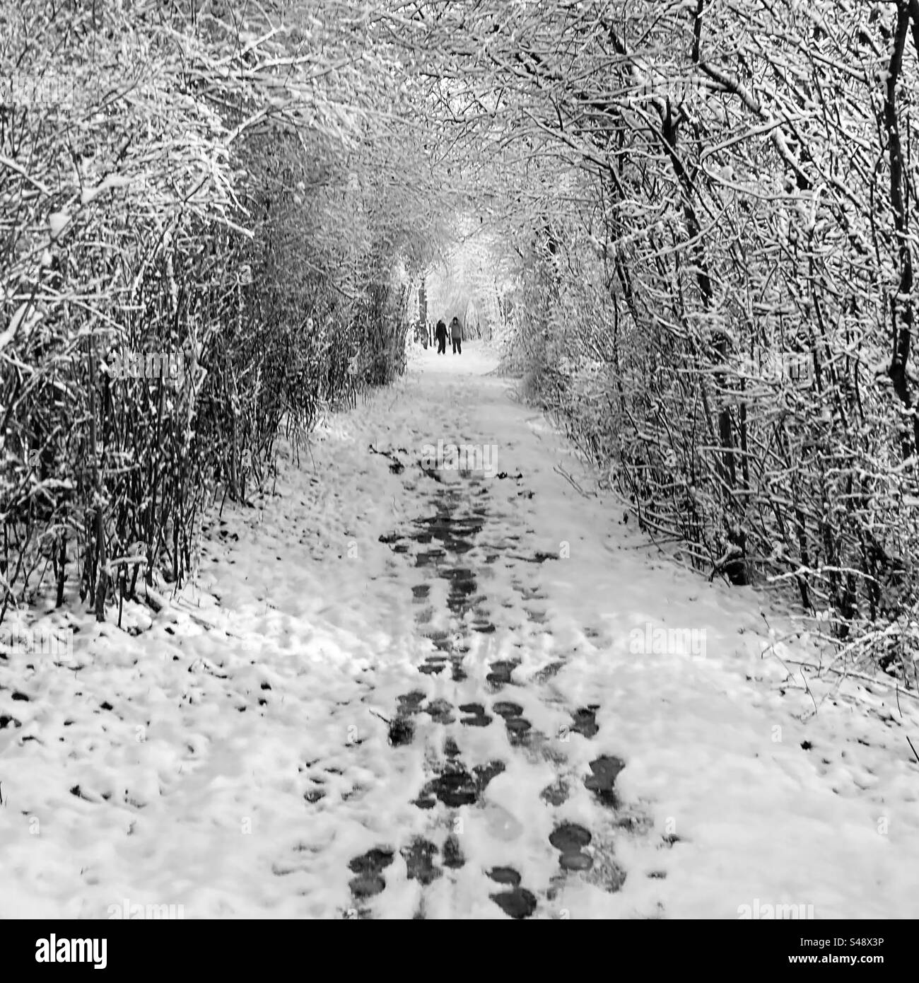 Chemin neige Banque de photographies et d’images à haute résolution - Alamy