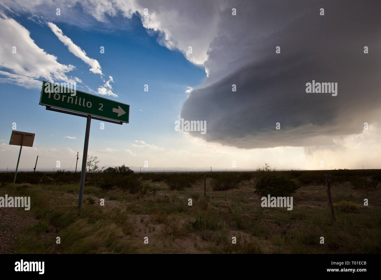 El tornillo Banque de photographies et d’images à haute résolution - Alamy
